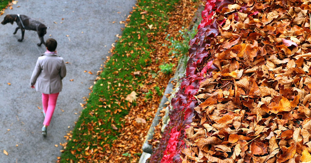 Three big expenses you'll save on this fall