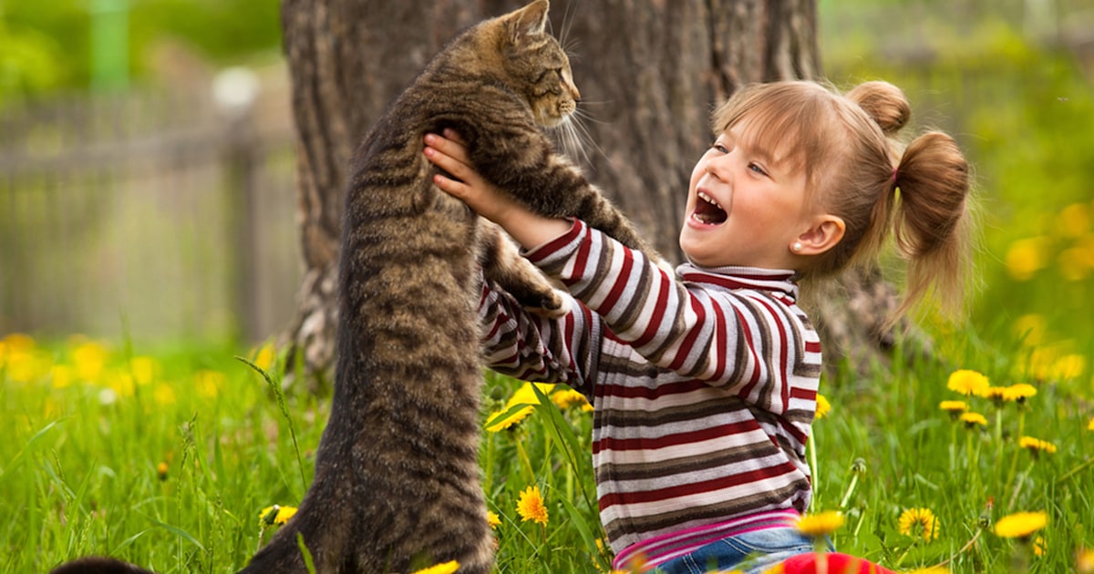 Celebrate National Cat Day with these tips