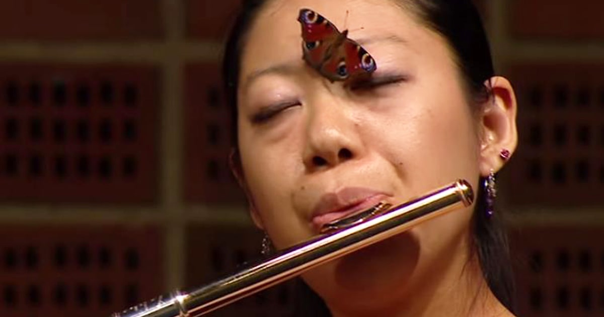 Flutist doesn't flinch as butterfly lands on face during performance