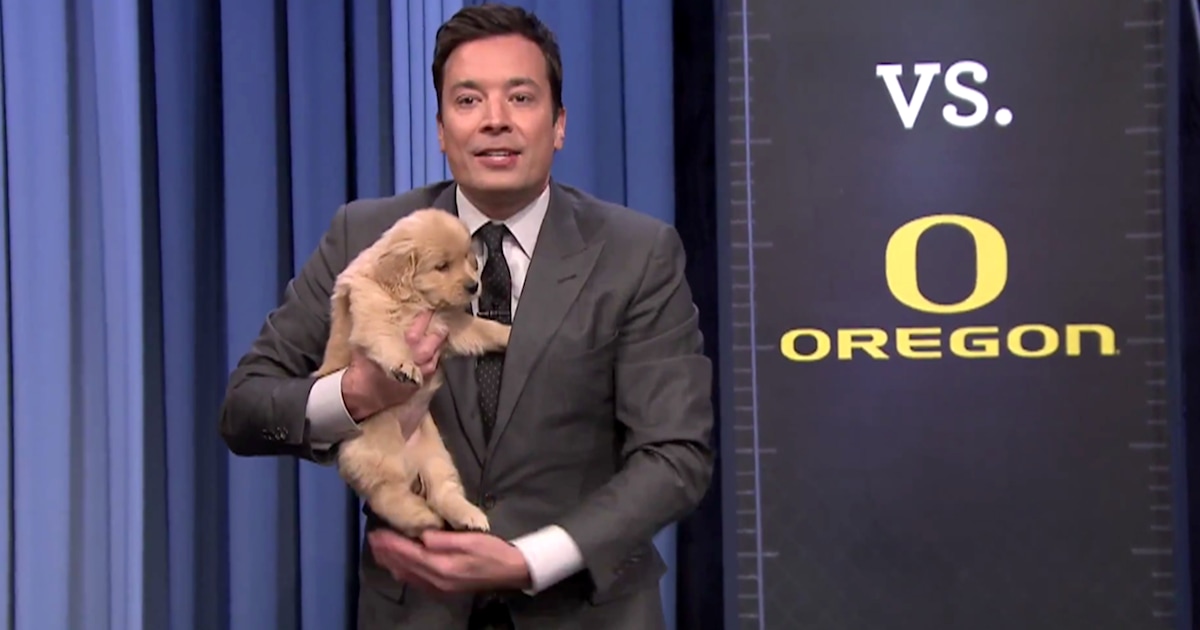 Jimmy Fallon's puppies predict winner of the College Football Playoff ...