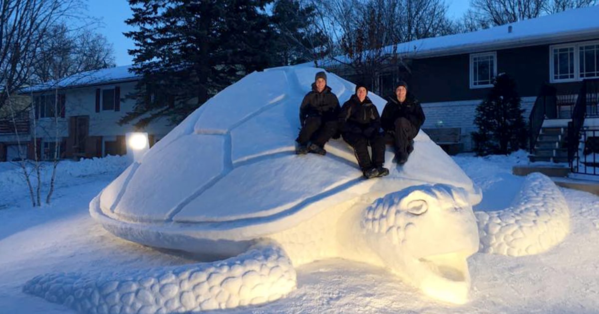 Brothers build massive 12-foot-tall sea turtle out of snow