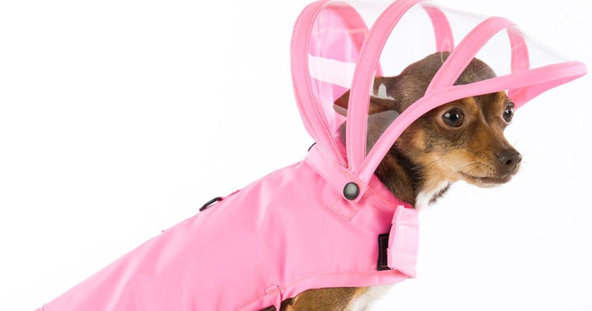15 SkyMall items to buy before it goes totally bankrupt 15 SkyMall items to buy before it goes totally bankrupt