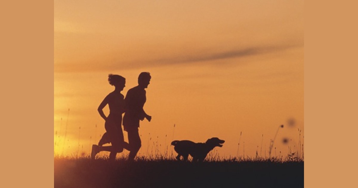Workout partner boosts calorie burn: 5 traits of a great fitness match Workout partner boosts calorie burn: 5 traits of a great fitness match