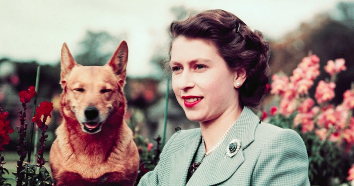 A Look Back at Queen Elizabeth II's Bond With Her Royal Corgis