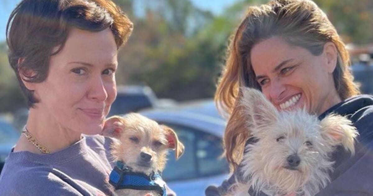 Sarah Paulson and Bestie Amanda Peet Introduce Their New Rescue Dogs