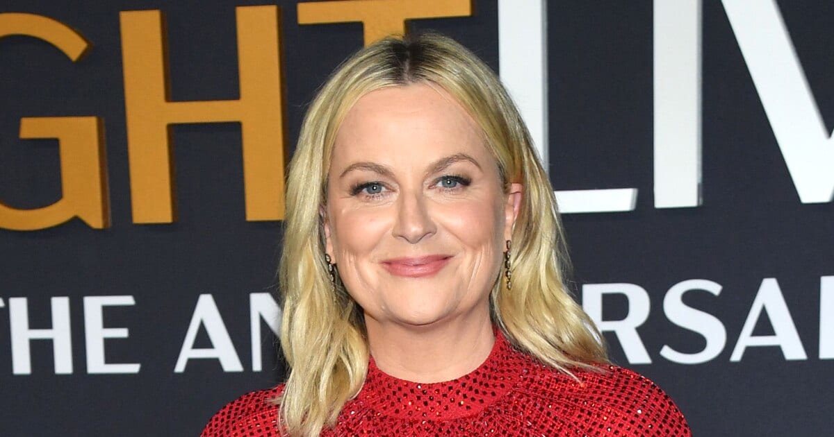 Why Amy Poehler Is Comparing SNL 50 to High School Reunion