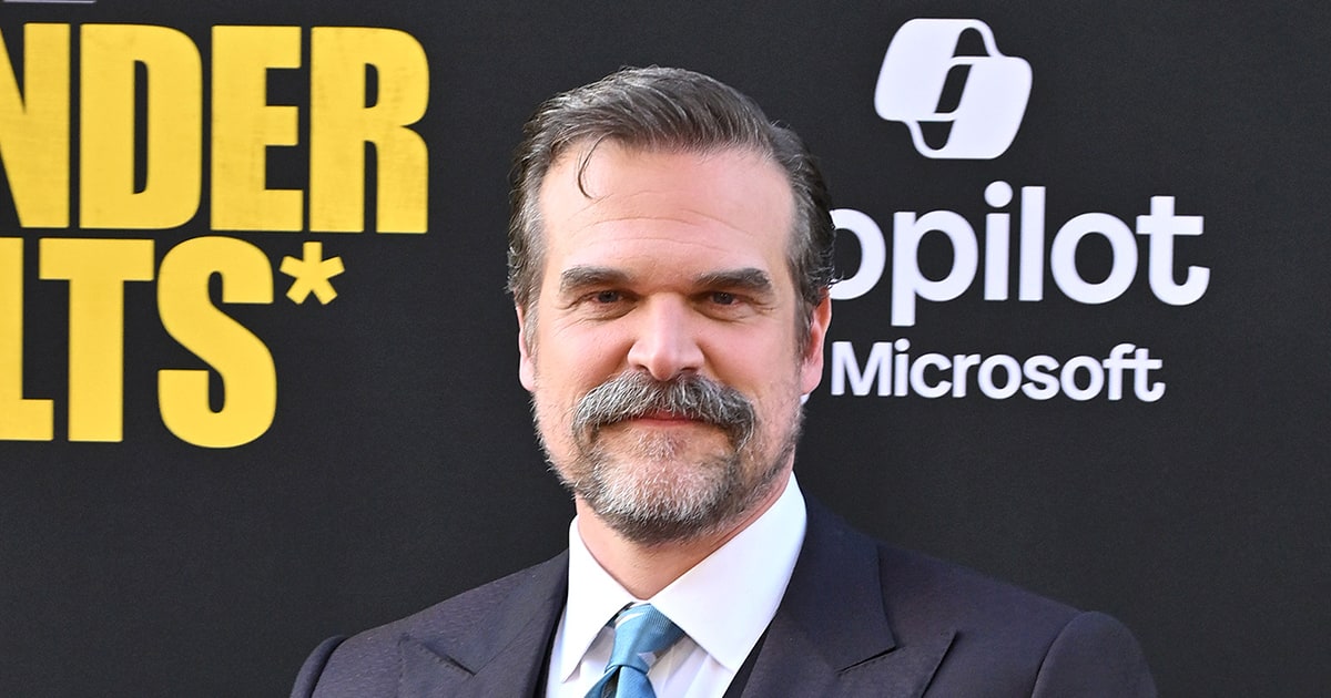 Stranger Things: David Harbour Missing Press Tour